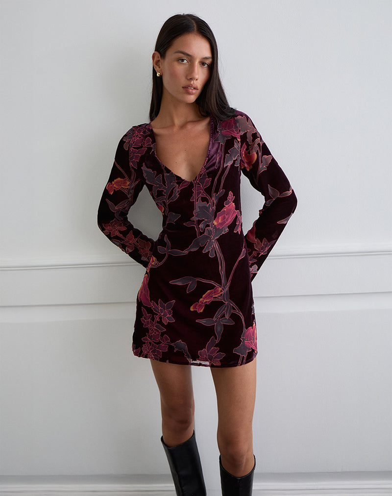 Burgundy Floral Devore Print Mini Dress | Alitra – motelrocks.com