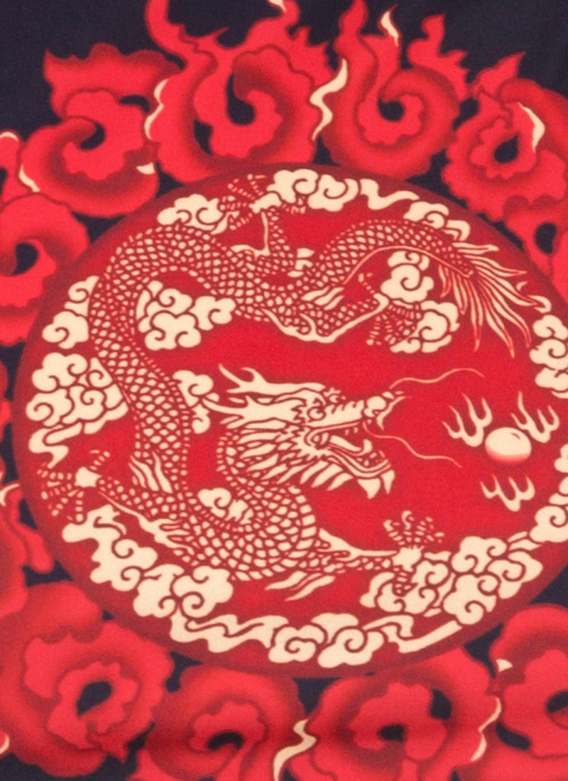 Hipster Red Chinese Fire Dragon Bikini Bottom | Truman - Motel Rocks ...